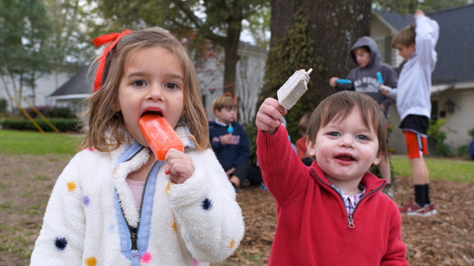 Frios Franchise What is a Frios Gourmet Pops Franchise? - Frios Franchise